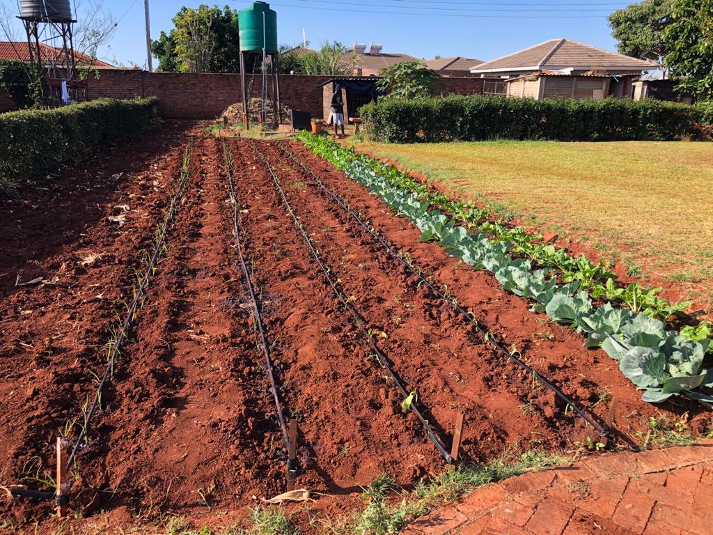 Westgate Home Precision Drip System – Mimishac Irrigation